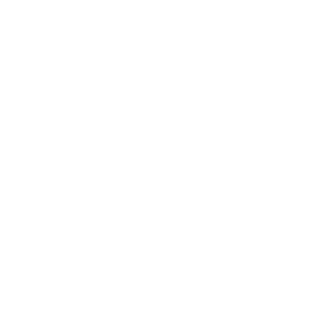 CCVI Giving Tuesday 2025